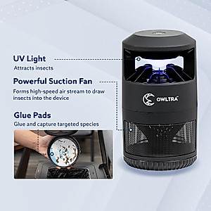 OWLTRA IMT-L60 Indoor Electric Insect Trap, Catcher & Killer Lamp for Fruit Flies, Mosquitos, Moths, Gnats, and More with UV Light Attraction and Fan Suction, Black