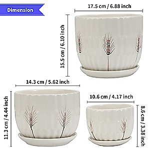 Laerjin Plant Pots 4.17" & 5.62" & 6.88" Flower Pot with Drainage Holes and Saucers, Set of 3 Ceramic Plant Pot with Tray, Outdoor Small to Medium Sized Round Modern Ceramic Garden Flower Pots