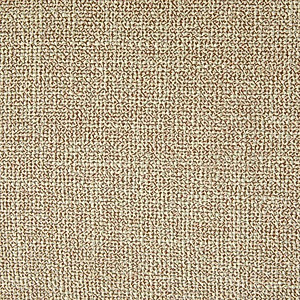 ACME Furniture Sofa, Beige Fabric