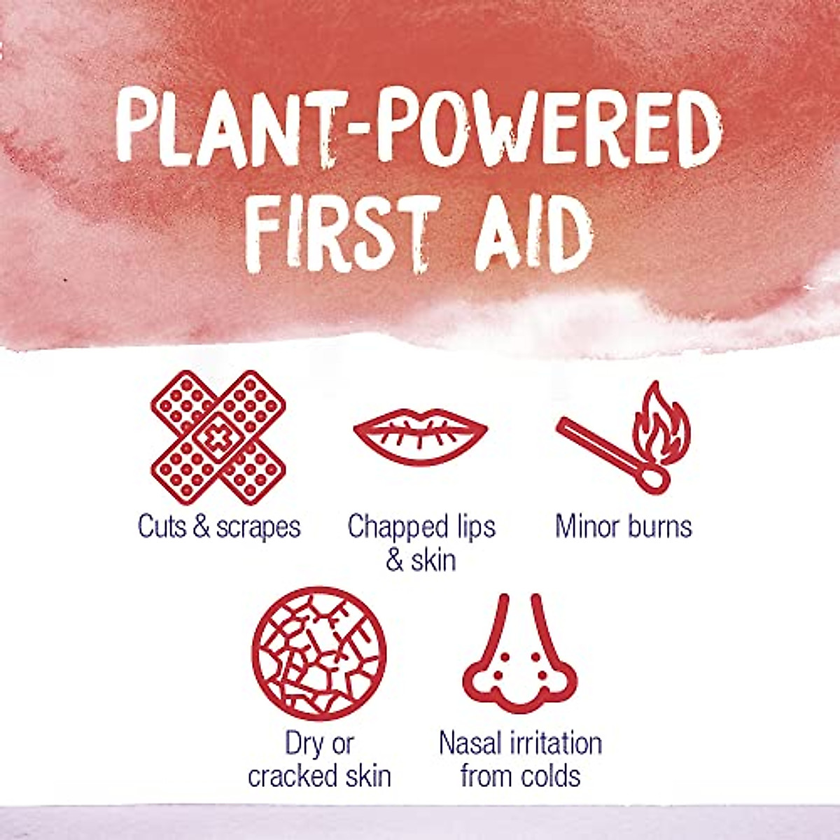 Boiron Calendula Ointment for Relief from Minor Burns, Cuts, Scrapes, and Insect Bites - 3 oz (3 Pack of 1 oz)