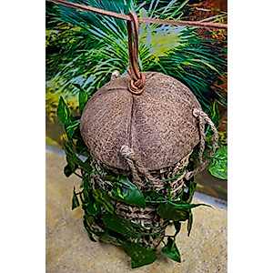 Lizard Lounger Penn-Plax Reptology for Bearded Dragons, Iguanas, and Other Reptiles - Adjustable Hanging (Coconut Climber)