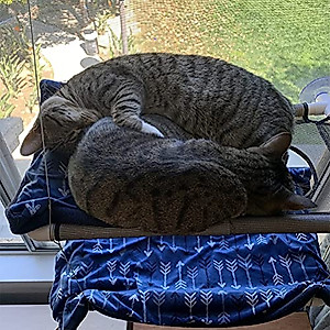 Cat Window Perches Deluxe Double Layers, Free Soft Lamb's Fleece Blanket and Toys, Up to 55 lbs, Space-Saving Cat Bed, Pet Kitty Resting Seat Safety Cat Hammock for Large Cats, Full 360° Sunbathing