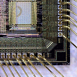 Dino-Lite AM3113 - 10x-50x, 230x - Handheld Digital Microscope - 640 x 480 Pixels - Measuring Software - 8 Integrated LED Lights