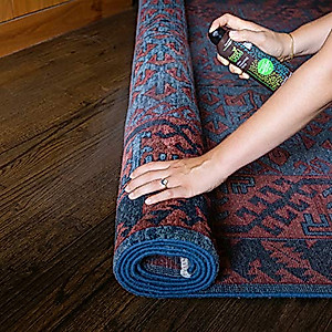 Fresh Wave Odor Eliminator Spray & Air Freshener, 8 oz. | Pack of 2 | Non-Aerosol, Fine Mist | Odor Absorbers | Safer Odor Relief | Natural Plant-Based Odor Eliminator | For Furniture, Fabrics & Trash