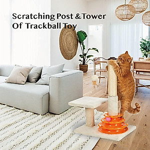 PEEKAB Tall Cat Scratching Post Kitten Sisal Scratcher Tree with Cat Tracks Toy Balls for Indoor Cats and Kittens - 25 inches