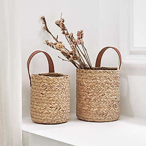 La Jolie Muse Seagrass Woven Storage Baskets Set of 2, Wall Hanging Baskets Organizer, Garden Planters Baskets