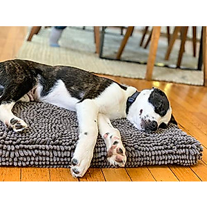 Dog Gone Smart Pet Products Dirty Dog Microfiber Cushion Pad, Grey, 23x36 Large (DGS01065-KW)