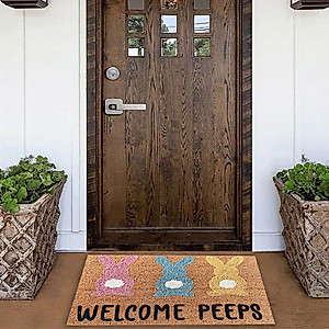 Easter Day Coir Door Mat Outdoor Your Name Est Bunny Happy Absorbent 23×16Inch Low-Profile Indoor Floormats Muddy