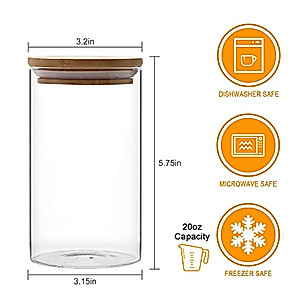 Encheng Glass Jars Set,Borosilicate Glass Food Storage Containers,20 oz Airtight Kitchen Canisters with Bamboo Lids for Pantry Organization,Clear Food Jars for Spice,flour,Nuts,Oatmeal,Coffee,9 Pack