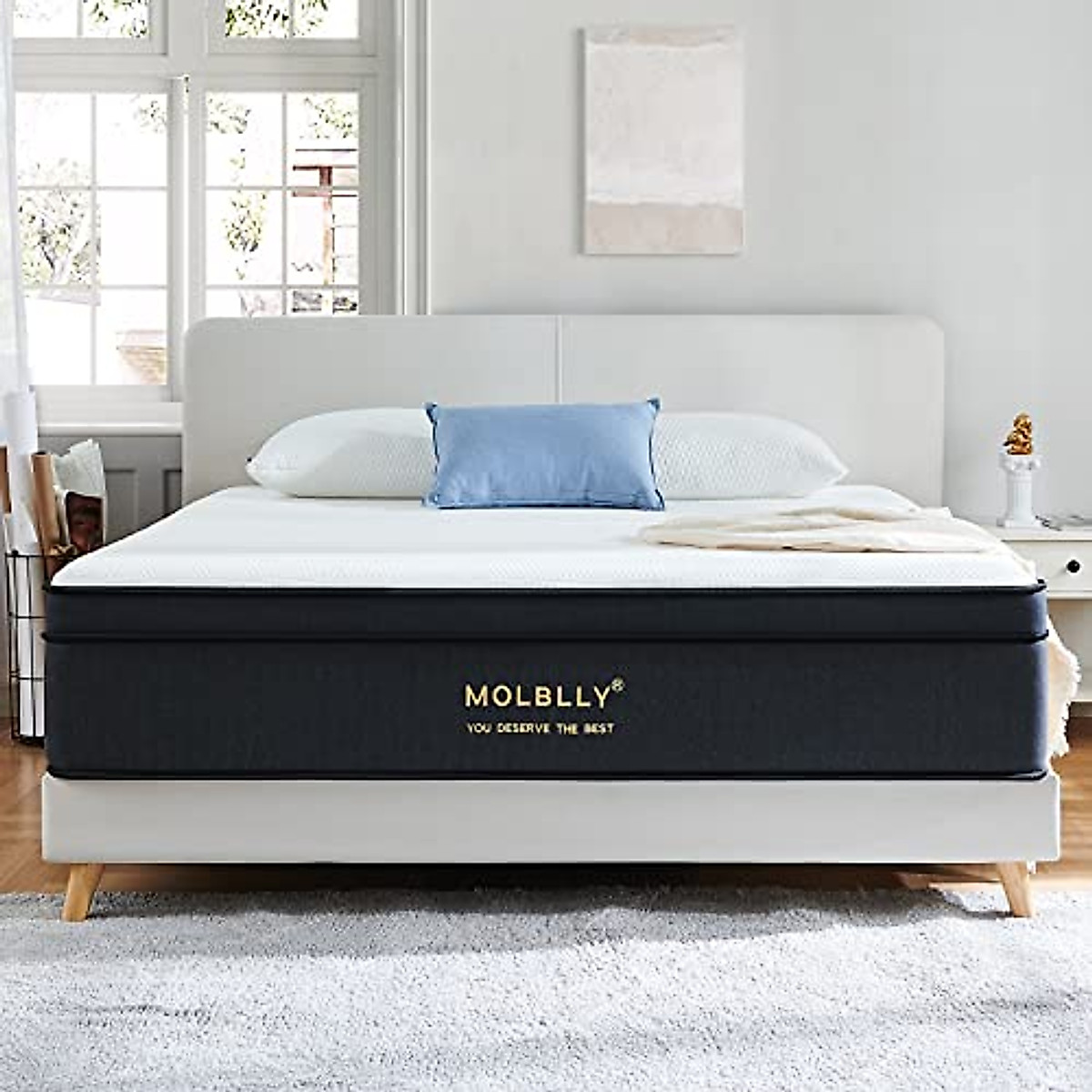 Molblly Queen Mattress, 12 Inch Hybrid Mattress in a Box with Gel Memory Foam, Individually Wrapped Pocket Coils Innerspring, Pressure-Relieving and Supportive,Non-Fiberglass,Mattress Queen Size