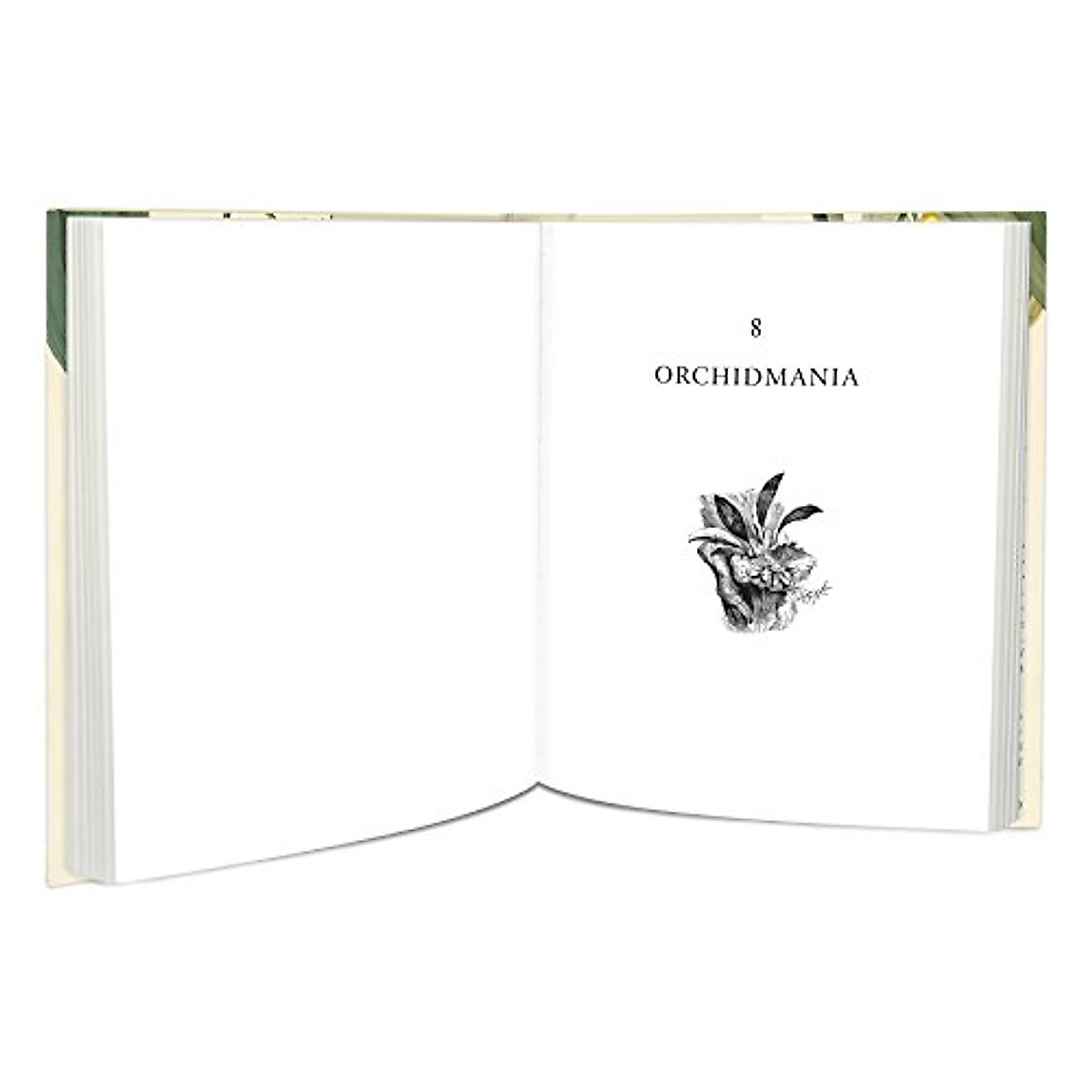 Plants: From Roots to Riches