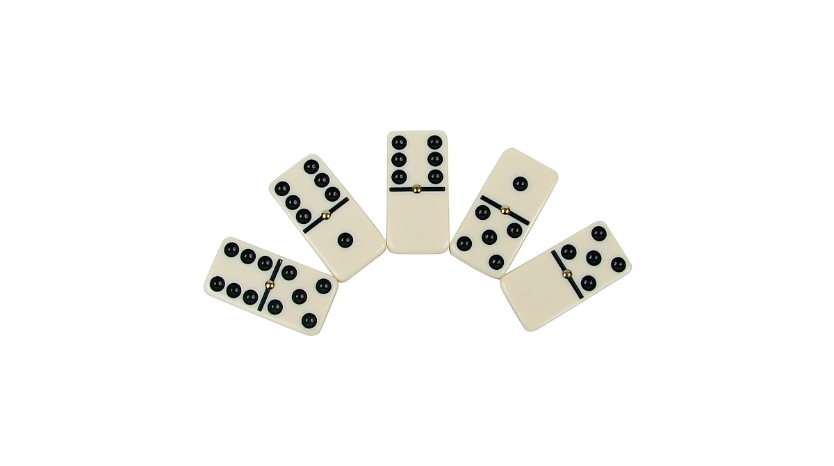 Premium Double Six Domino Set with Wood Case for Family Fun
