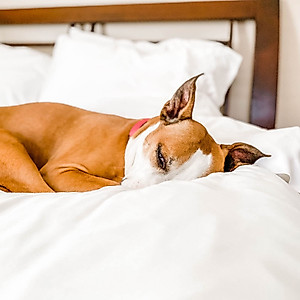 Wooflinen Luxurious Viscose Derived from Bamboo King Duvet Cover Set - Corner Ties - Zipper Enclosure - Wonderfully Soft - Matte White - 3pc Cover + 2 Pillowcases