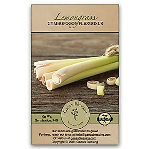 Gaea's Blessing Seeds - Lemongrass Seeds - Non-GMO Seeds with Easy to Follow Planting Instructions - Untreated and Open Pollinated Lemon Grass - 83% Germination Rate