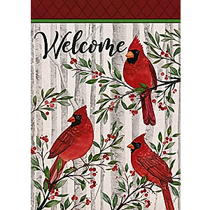 Dyrenson Welcome Winter Cardinals Red Birds Berries Decorative Garden Flag, Snowy Forest Farmhouse Yard Outside Decorations Outdoor Small Decor 12x18