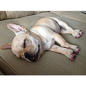 Warren London Pawdicure Dog Nail Polish Pen | Non Toxic, Odorless, & Fast Dry | Made in USA | Neon Pink