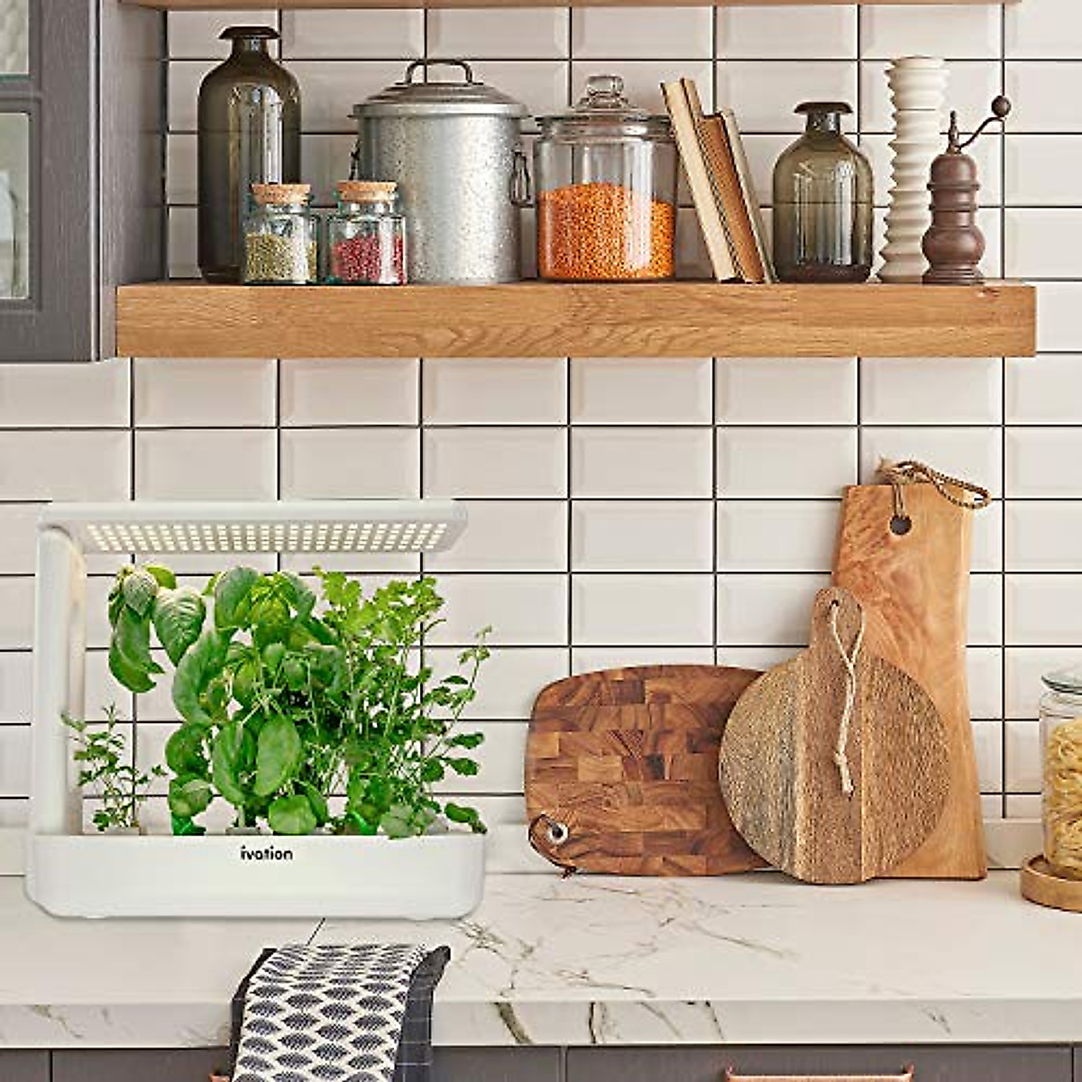 Ivation Herb Indoor Garden Kit | Complete Hydroponic Grow System for Herbs, Plants & Vegetables with LED Light, Seeding Box & Sponge Cubes, Planting Pods & Hats, Nutrients & Tweezers | Just Add Seeds!