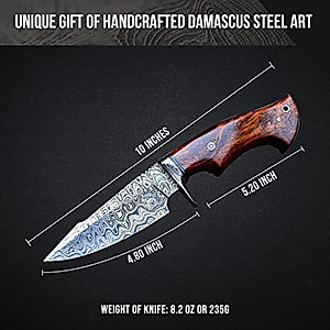 BIGCAT ROAR 10" Handmade Damascus Hunting Knife with Leather Sheath - Ideal for Skinning, Camping, Outdoor - EDC Fixed Blade Bushcraft Knife with Walnut Wood Handle - Predator Hunter