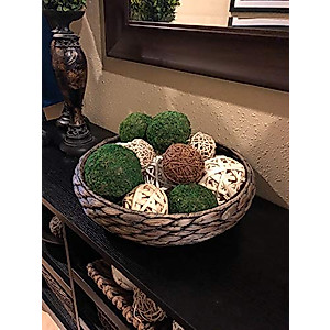 Farmoo Moss Balls Preserved All Natural, 3.5"-Set of 6 (Natural Green)