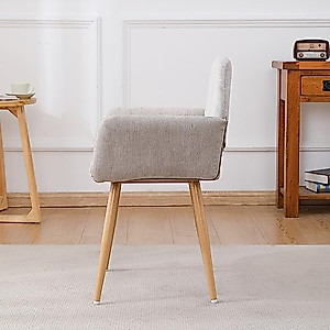 Velvet Vanity Chair Furry Desk Chair with Metal Legs Makeup Chair with Hollow Backrest Comfy Office Computer Chair Desk Chair no Wheels Arm Chair for Bedroom Living Room Accent Task Chair