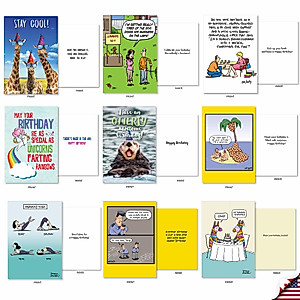 NobleWorks - Variety Pack of 36 Assorted Funny Birthday Cards Bulk Box Set w/Envelopes, Edgy Humor B-Day for Men, Women (36 Designs, 1 Each) - Birthday Favorites AC2911BDG-B1x36