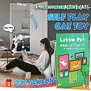 LEKEWPET Retractable Cat Feather Toys, 7PCS Refills with Bell, Interactive Doorway Hanging Teaser Toys for Indoor Cats. Kitten Play Exercise Feather Teaser Toys.