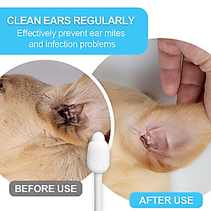 Dog Ear Cleaner dog ear infection treatment Gourd-shaped swabs prevent accidental injury to the ear canal for safer cleaning of your pet's ears. Specifically designed for dogs and cats, L 56 Pcs