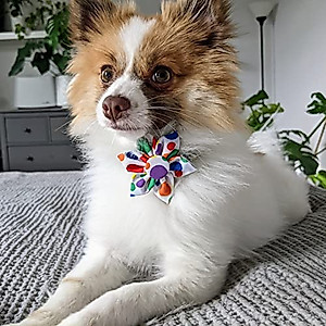 H&K Pet Pinwheel | Happy Barkday (Large) | Birthday Velcro Collar Accessory for Dogs/Cats | Fun Pet Pinwheel Collar Attachment | Cute, Comfortable Pet Accessory