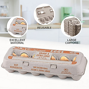 Printed Natural Pulp Egg Cartons Holds Up to Twelve Eggs - 1 Dozen Extra Large - Strong Sturdy Material Perfect For Storing Extra Eggs - by MT Products (25 Cartons) - Made in The USA