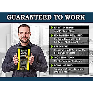 MaxGuard Extra Large Cricket Traps (8 Traps) | Non-Toxic Extra Sticky Glue Board Pre-Baited Cricket Attractant | Trap & Kill House Crickets, Insects, Spiders, Bugs |