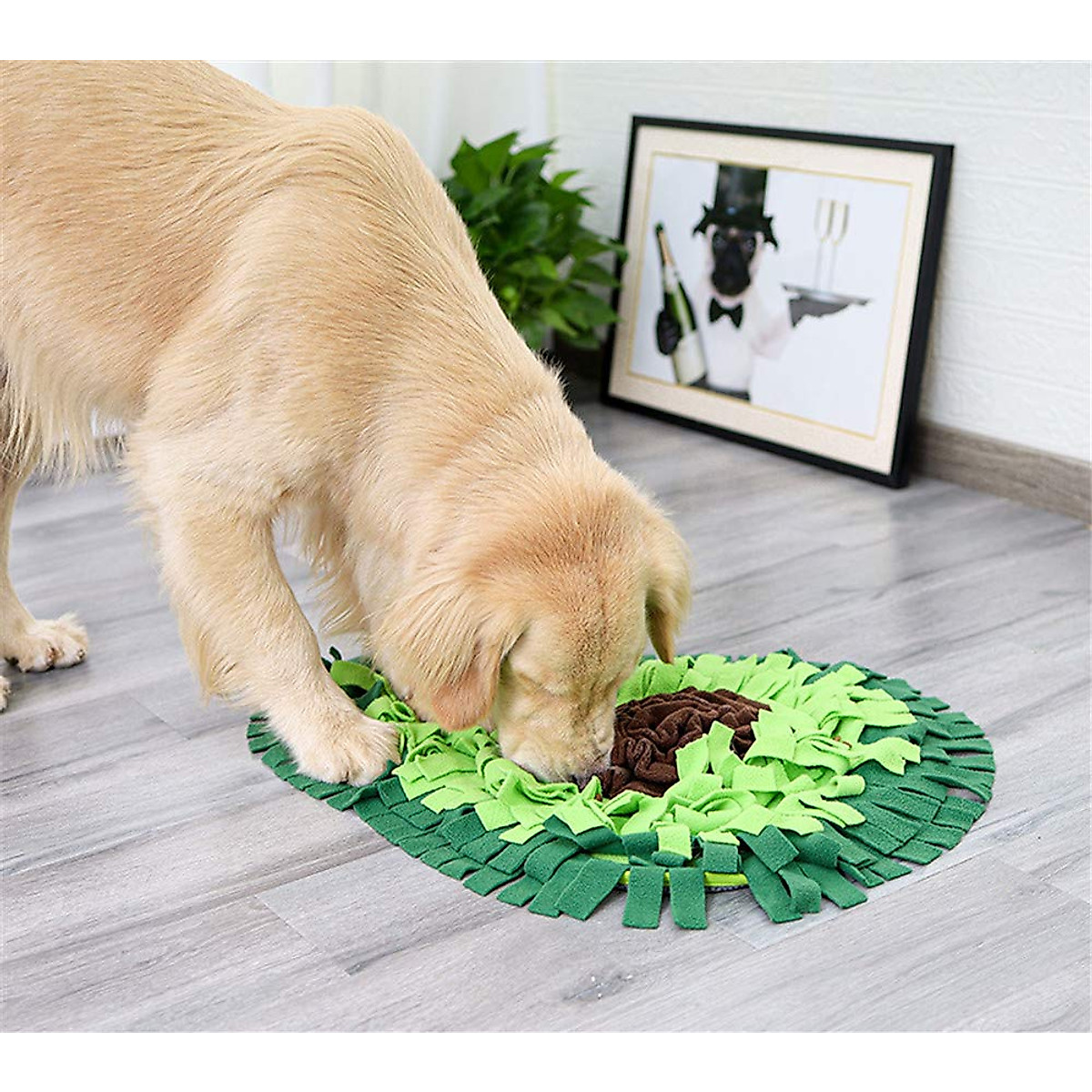 Dog Snuffle Blanket Pet Interactive Mat Nosework Feeding Mat Treat Dispenser Natural Foraging Toys for Small Large Dogs Cats Rabbits (Avocado)