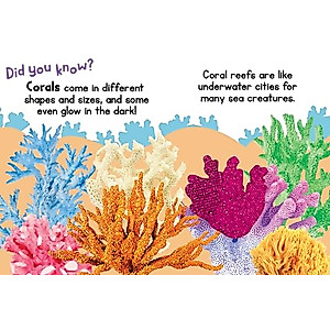 Ocean Friends - Touch and Feel Board Book - Sensory Board Book