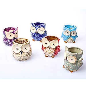 Claywa Ceramic Owl Succulent Pots Cute Animal Plant Planters 2.75" to 3.35" with Drainage Pack of 6 Plants Not Included