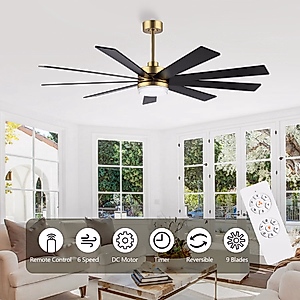 LEDLUX 65" DC Motor Ceiling Fan with Light, 6-Speed Remote Control, Reversible Motor, Modern 9 Blades Ceiling Fan with 4.5"/12" Downrods for Home or Commercial Black/Gold