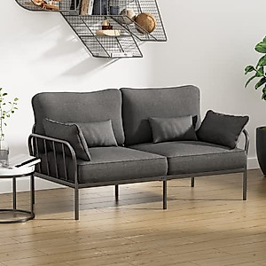 DUESI 71'' Modern Loveseat Furniture, Small Couches for Living Room with 2 Cushions, Steady Steel Framework, Metal Sofa Couches for Living Room, Easy Assembly, 650 LB Capacity(Deep Grey)
