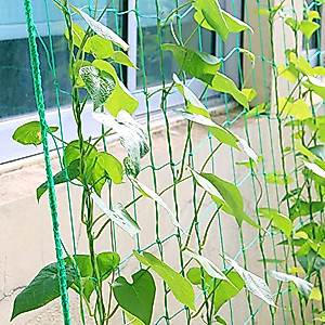 Trellis Netting for Climbing Plants, 6.6 x 16 Ft Cucumber Trellis Heavy Duty Garden Vegetables Grow Net for Fruits, Bean, Tomato, Garden Plants