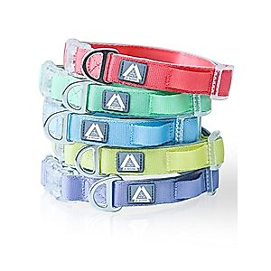 JC HOUSE Dog Collar, Lightweight Soft Padded Classic Pet Collar with Reflective Logo LED Holder & Quick Release Buckles, Small Medium Dog Collar for Daily Use, Blue, S (C-M5S)