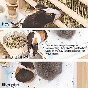 Rabbit Hay Feeder with Litter Box and Bowls, 3 in 1 Wooden Feeder Toilet Combo Feeding Manger for Small Pets Guinea Pig Bunny Hamster, Hay Rack Litter Pan Bowls Stand Plastic Box 2 Bowls, Kiln-Dried