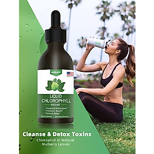 Chlorophyll Liquid Drops - 100% Natural Energy Booster and Immune Support - Internal Deodorant and Detox - Altitude Sickness Relief - Fast Absorption, Vegan & Non-GMO - 120 Servings (Pack of 1)