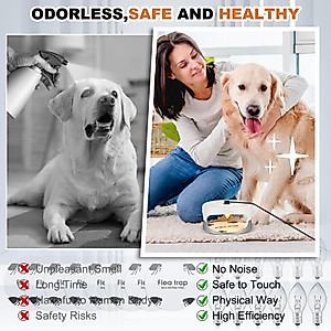 Qualirey 2 Pcs Flea Traps with 8 Sticky Disc 12 Bulbs 4 Electric Wires Flea Traps for Inside Your Home Safe Flea Light Trap for Indoor Safe to Pets