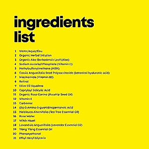 NueDerma Vitamin C Serum For Face Anti Aging, Brightening, Retinol, Aloe, Hyaluronic Acid, Vitamins E, B3. Boosts Collagen