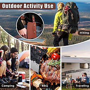 Japanese Feather Viking Dragon Boning Cleaver Serbian Chef Knife Set Forged in Fire with Sheath for Outdoor Camping BBQ Christmas Gift Men