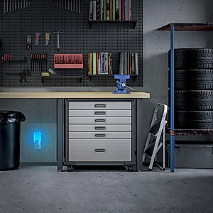 Raid Essentials Flying Insect Light Trap Refills, 2 Light Trap Refill Cartridges, Featuring Light Powered Attraction