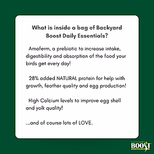 Backyard Boost Daily Essentials Chicken Feed | Palleted High Protein Food for Laying Hens | 2.5 Pound Bag