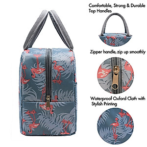 Mziart Insulated Lunch Bag for Women Men, Reusable Lunch Tote Lunch Box Organizer Cooler Bag with Front Pocket for Work Travel Picnic (Cute Flamingo)