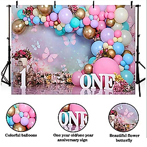 Pink Gold Balloon Girl First Birthday Party Backdrops Sweet One Wonderland Flowers Butterfly Photography Background Birdcage Princess Birthday Decorations Newborn Baby Shower Cake Smash Banner 7x5ft…