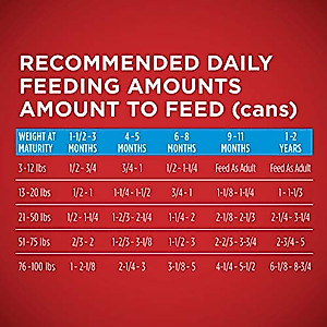 Purina ONE Plus Wet Puppy Food Classic Ground Healthy Puppy Lamb and Long Grain Rice Entree - (Pack of 12) 13 oz. Cans