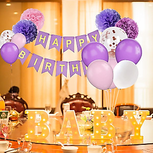 Rishafowg Purple Birthday Decorations for Women, Princess Birthday Party Decorations Pink and Purple Birthday Decorations with Latex Balloons Paper Pom Poms Happy Birthday Banner