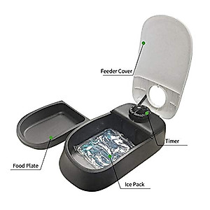 PAWISE Automatic Pet Feeder for Dogs and Cats, 1.5 Cup Food Dispenser Feeder with 48-Hour Timer - Single