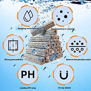 PINVNBY 20 Pcs 6.2-Inch Large Aquarium Filter Media Fish Tank Ceramic Media for Sump Canister Filter,Bakki Showers Filter,Trickle Filter,Aquaculture and Koi Ponds